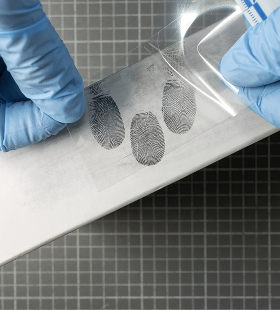 Gallery – Trinetra Forensic – Science & Services